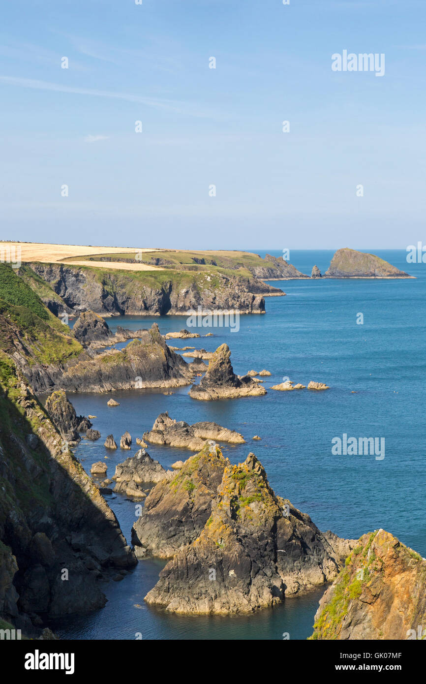 Sea cliffs and stacks visible on the Pembrokeshire Coat Path in South ...