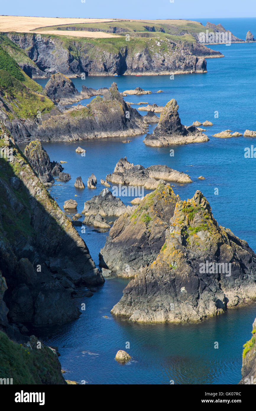 Sea cliffs and stacks visible on the Pembrokeshire Coat Path in South ...