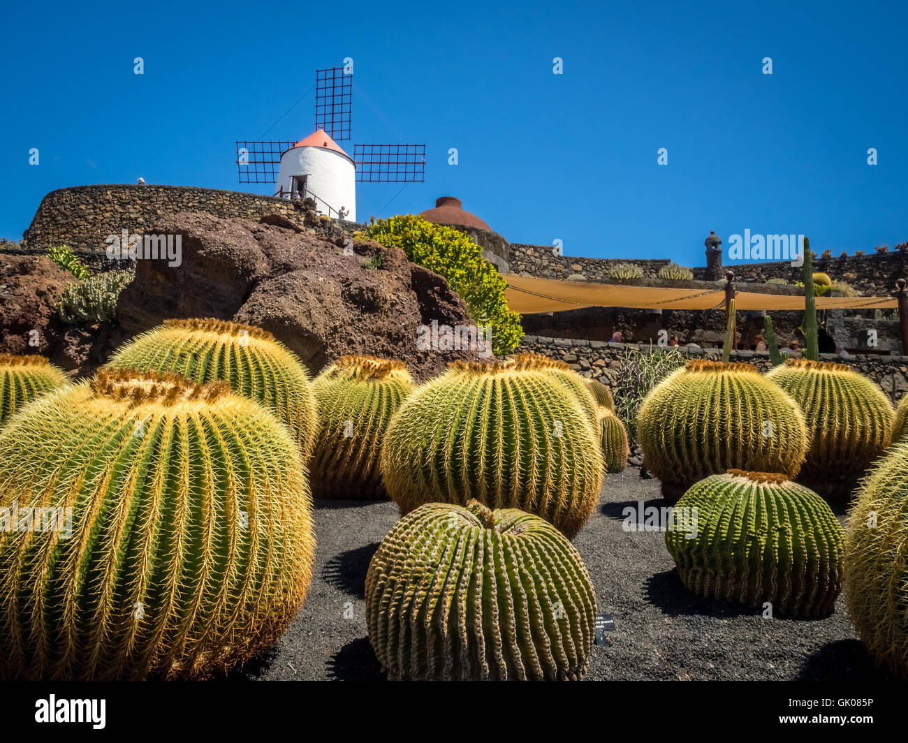 Lanzarote cactus garden hi-res stock photography and images - Alamy