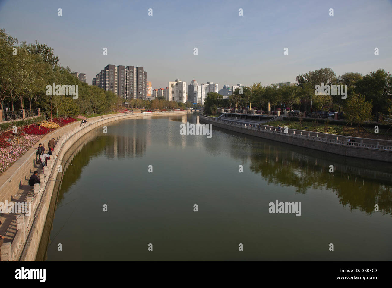 Beijing Haidian District Sweetclover Stock Photo - Alamy