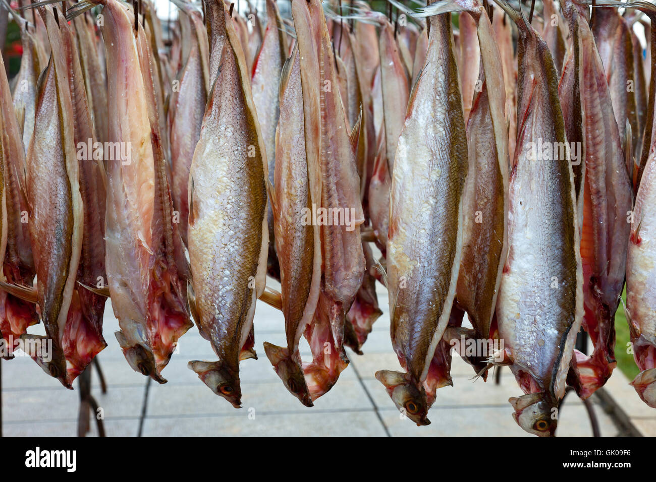 Fish images hi-res stock photography and images - Alamy