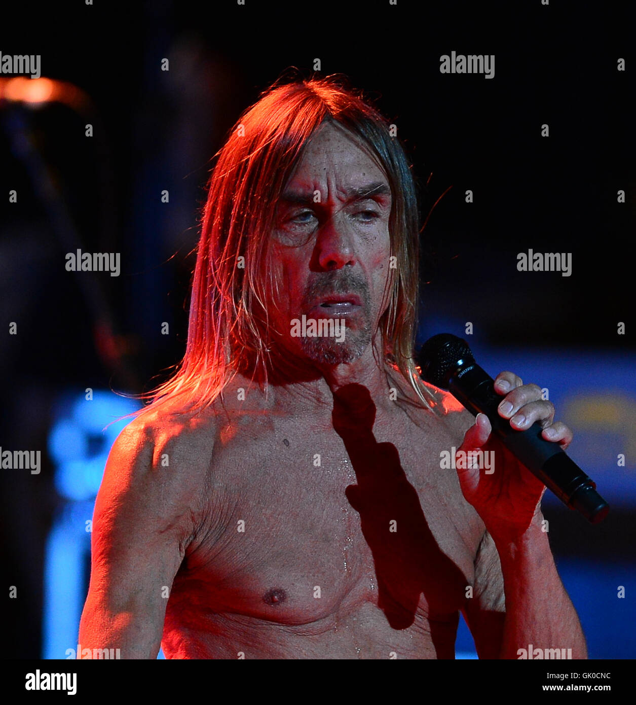 Iggy Pop performing live in concert during his Post Pop Depression Tour ...