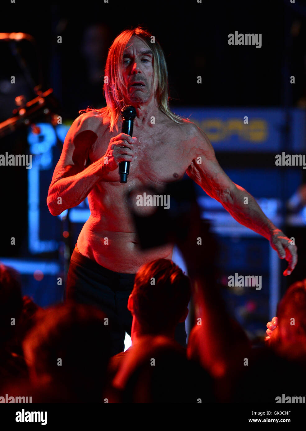 Iggy Pop performing live in concert during his Post Pop Depression Tour ...