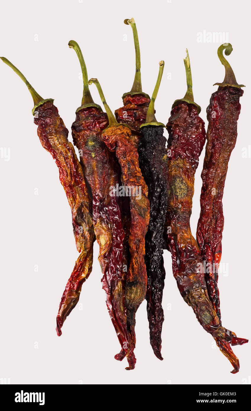 Chili pepper is the fruit of plants of genus Capsicum which are members ...