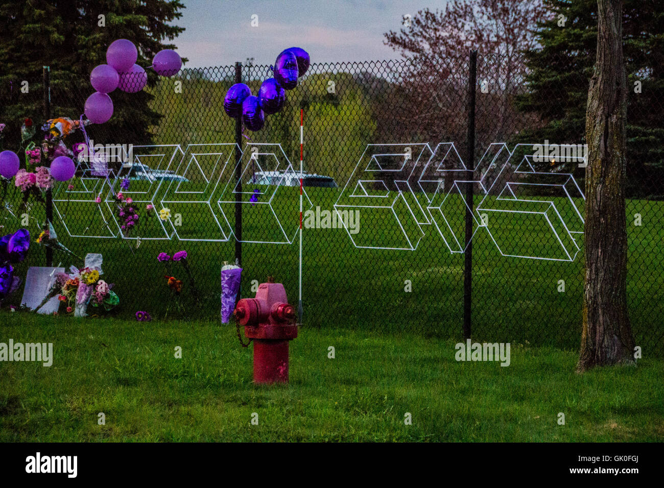 Fans pay tribute to Prince outside his Paisley Park estate in ...