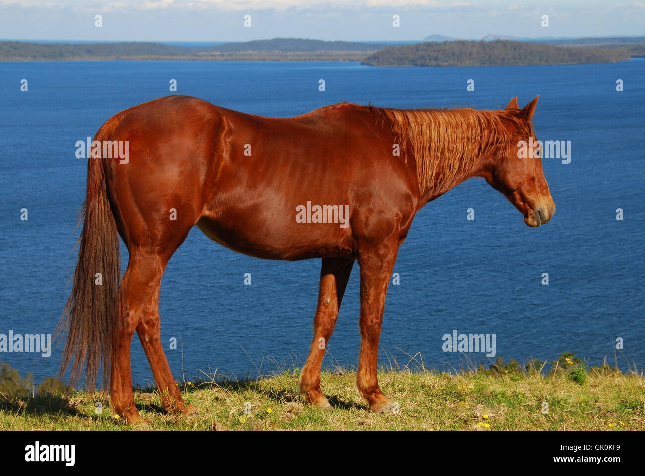Clover lake hi-res stock photography and images - Alamy