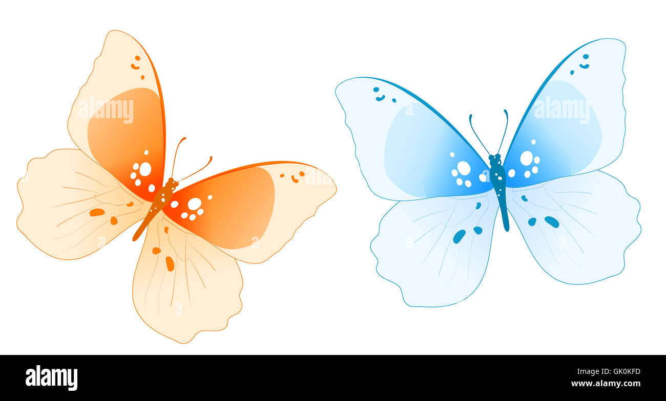 Insect detail capture hi-res stock photography and images - Alamy