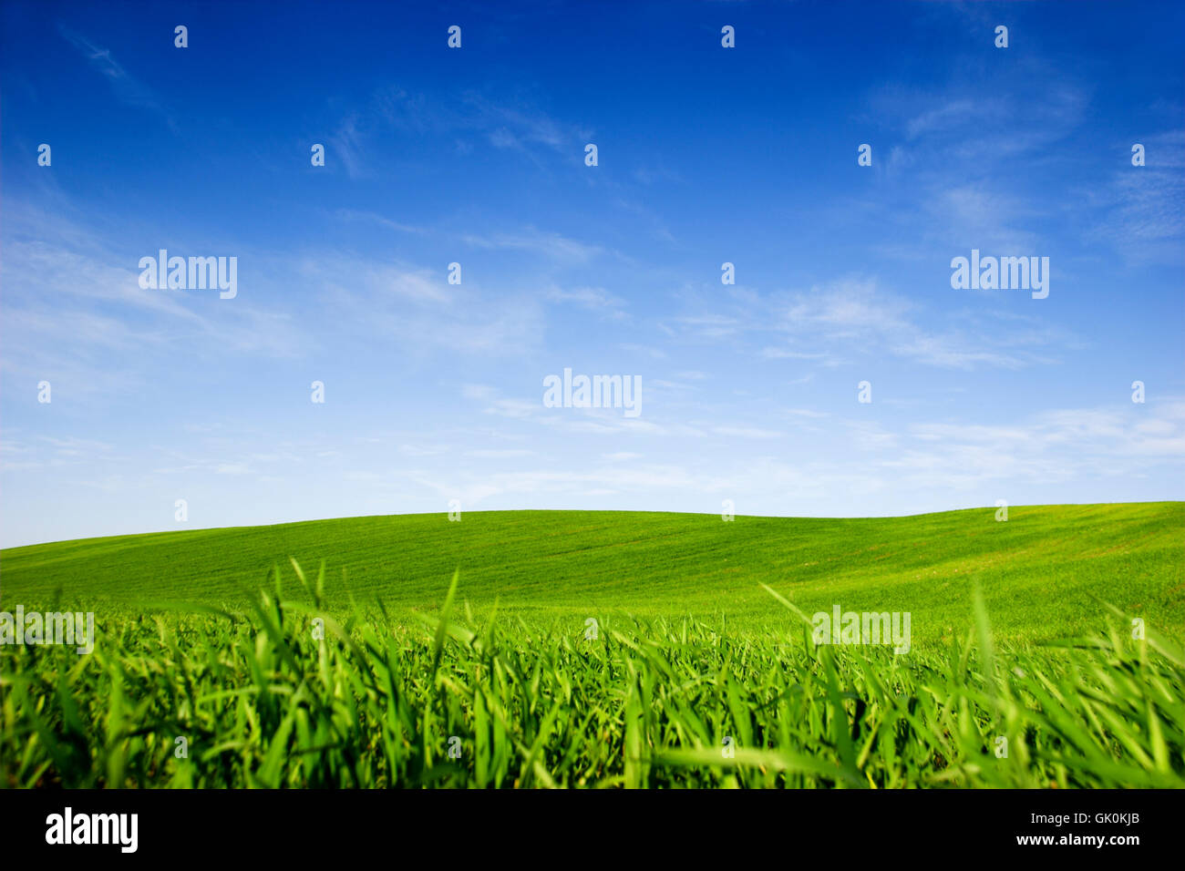 Blue horizon agriculture farming hi-res stock photography and images ...
