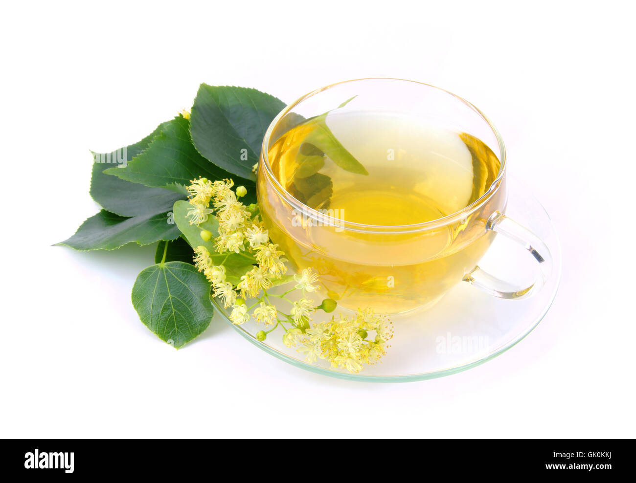 tea bloom blossom Stock Photo - Alamy