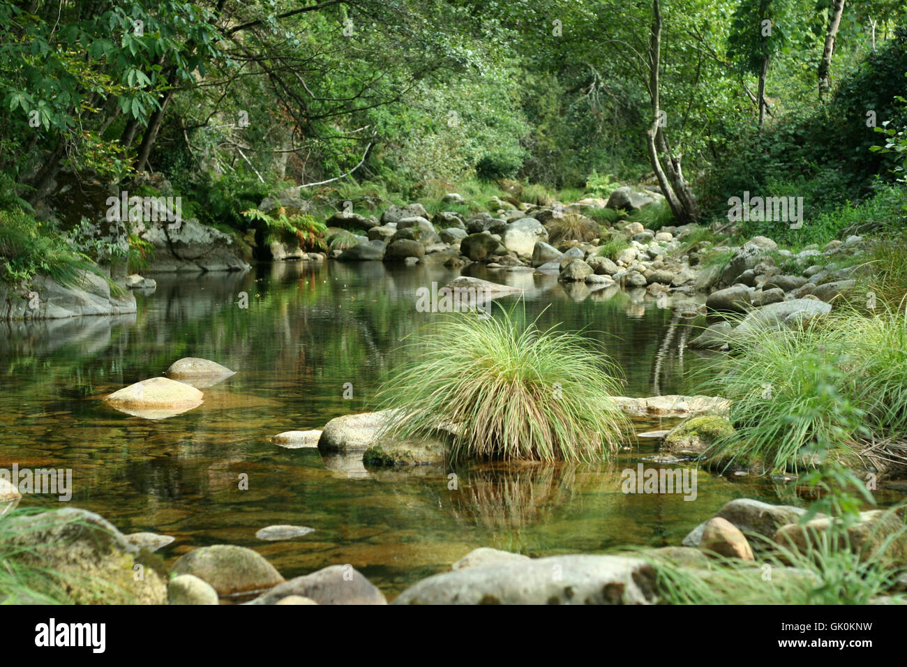 wild clean landscape Stock Photo - Alamy