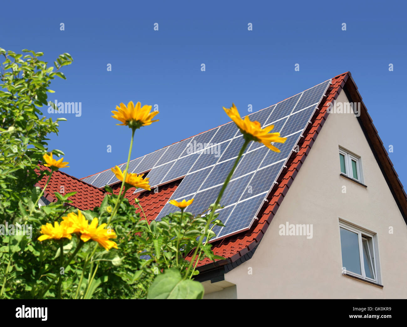 solar panels on roof behind flowers Stock Photo - Alamy