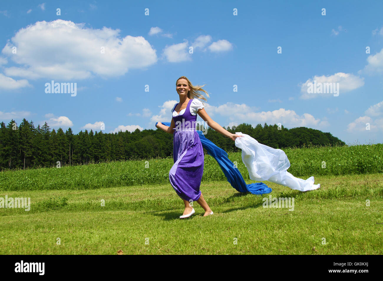 Flags of bavaria and hi-res stock photography and images - Alamy