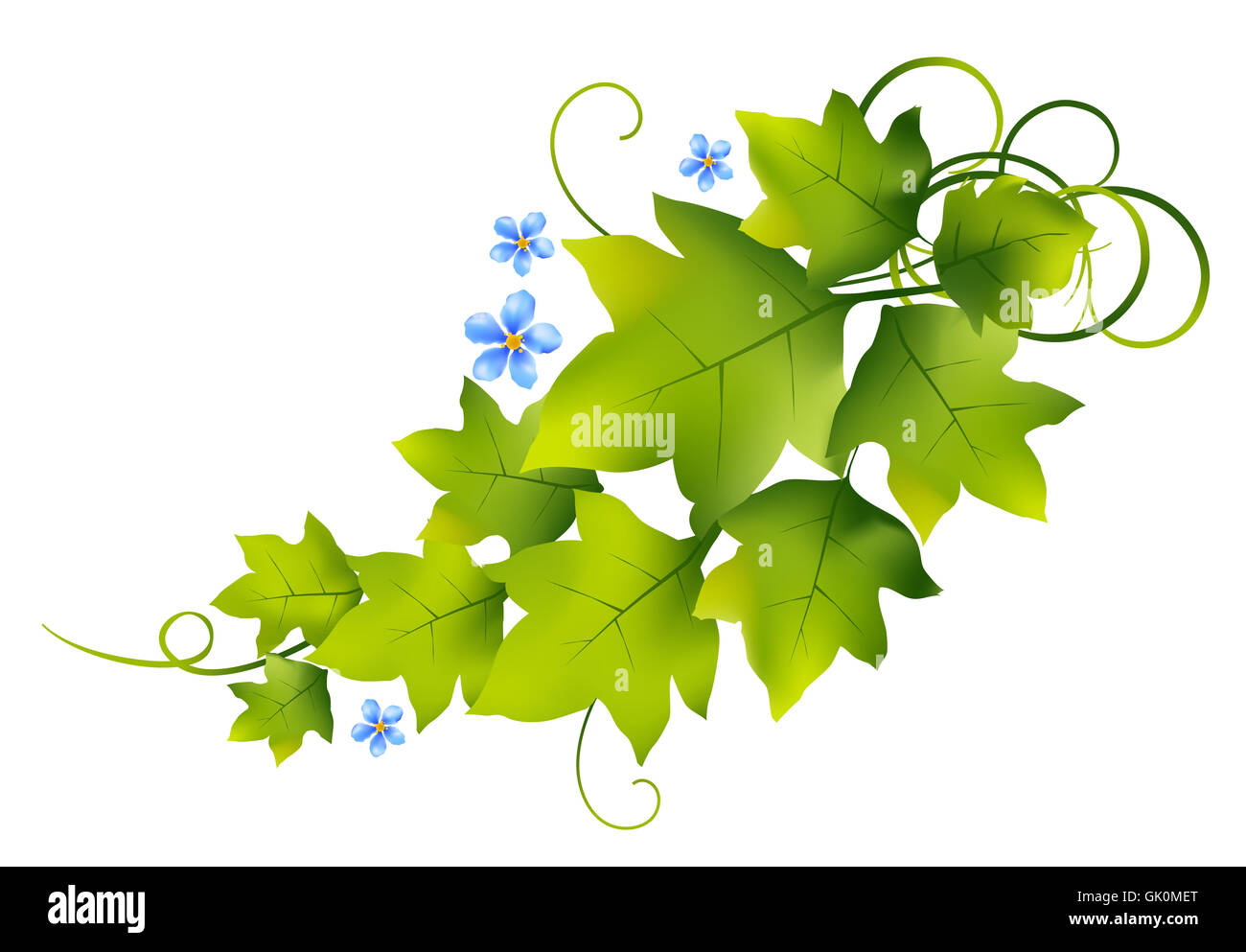 Leaves flower stem plant Cut Out Stock Images & Pictures - Alamy