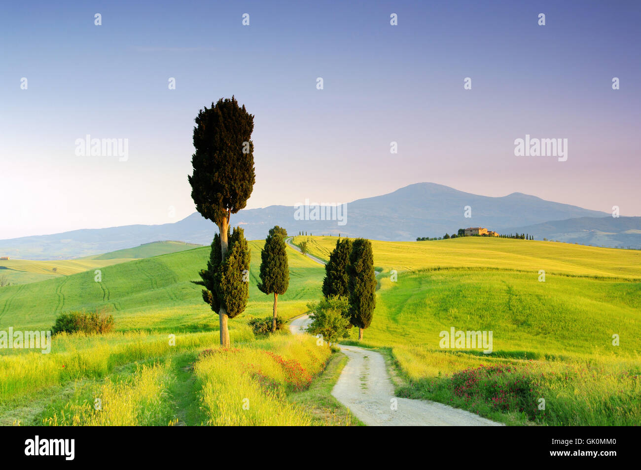 Tree hill hi-res stock photography and images - Alamy