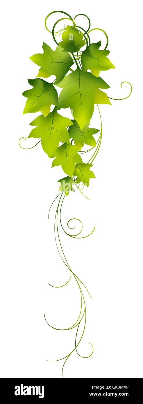 Stylized vines hi-res stock photography and images - Alamy