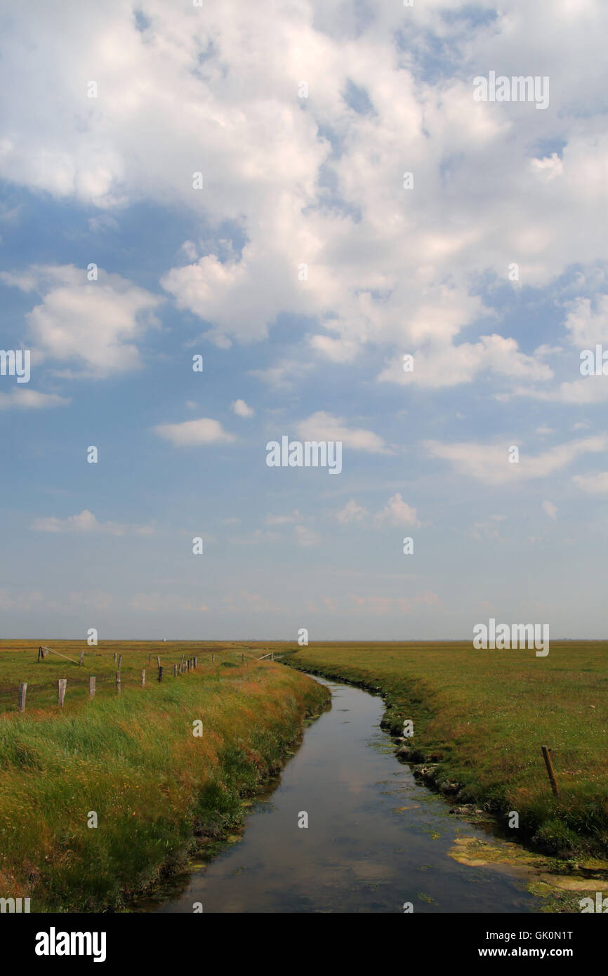 horizon width wide angle Stock Photo - Alamy