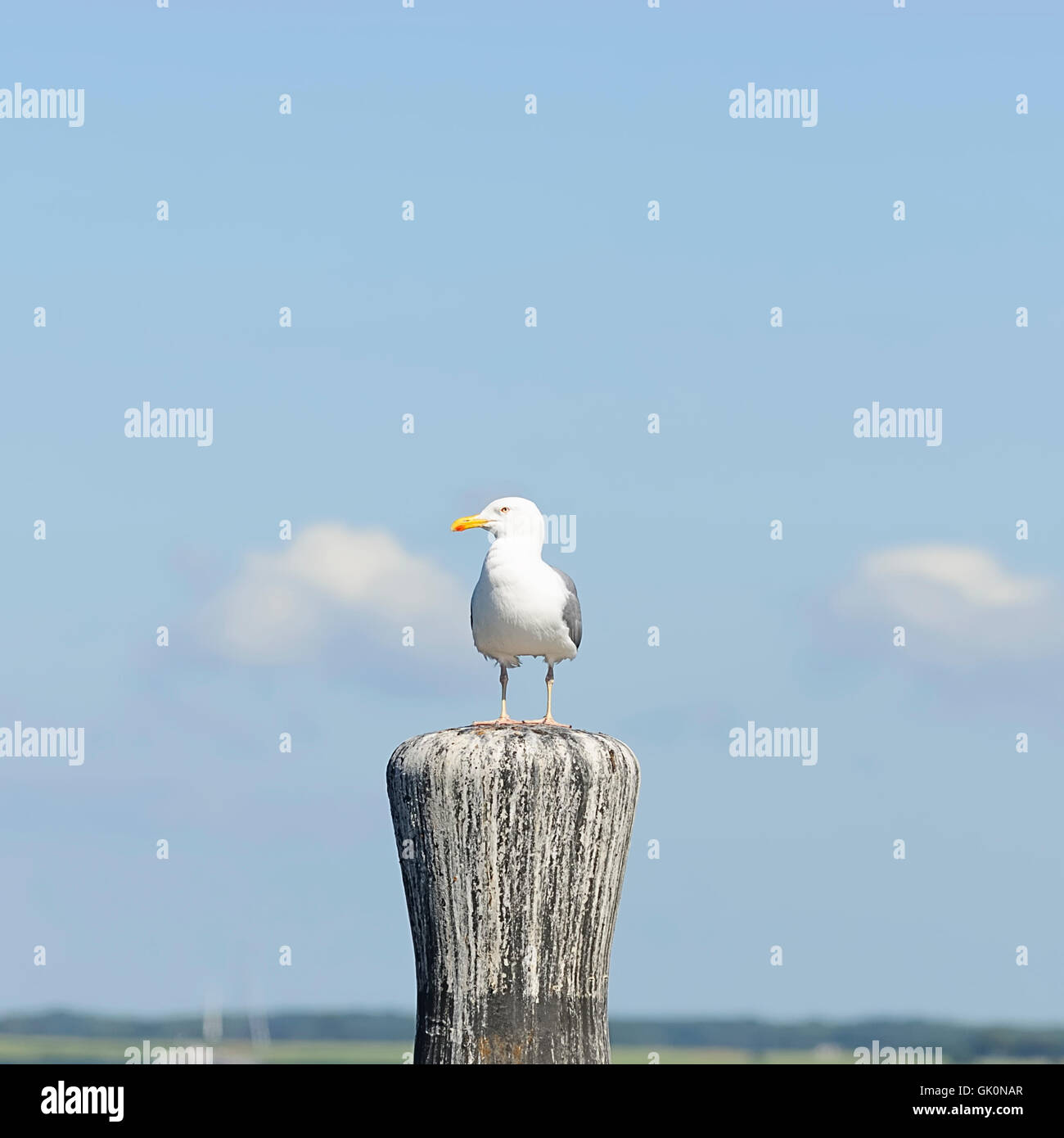 post put sitting Stock Photo - Alamy