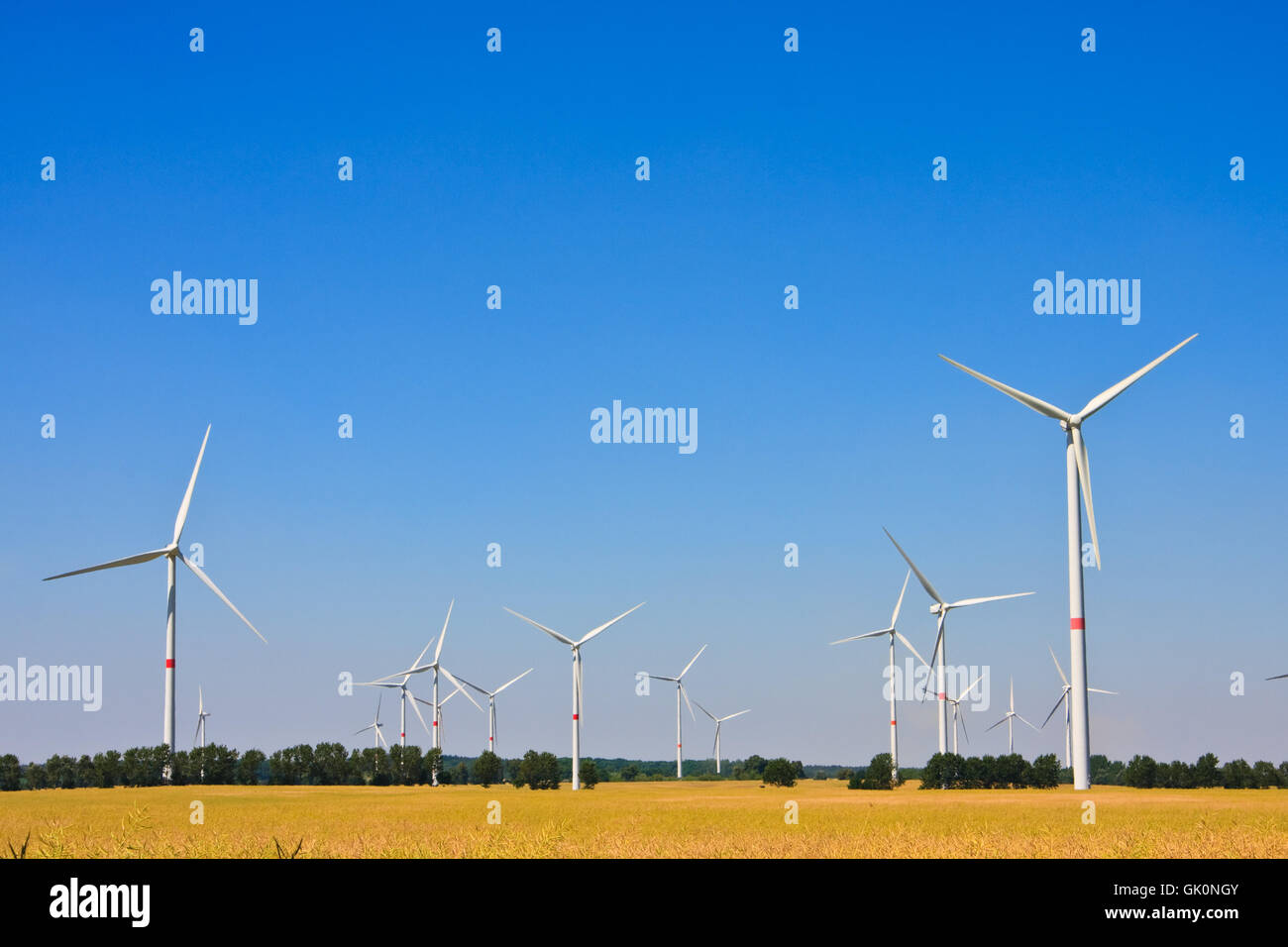 generation of electricity field energy Stock Photo - Alamy