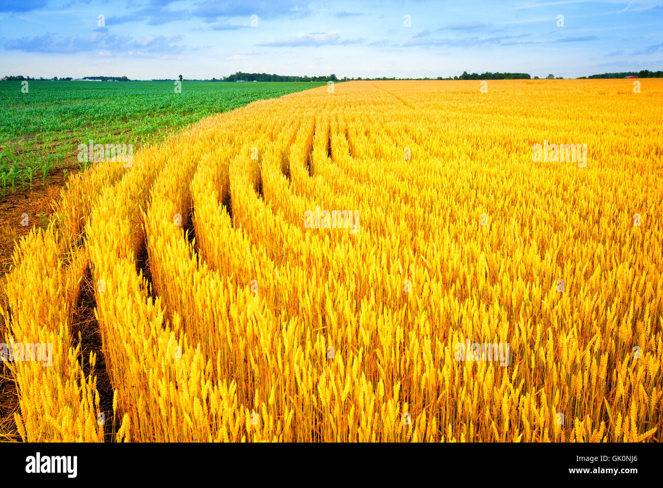 agriculture farming fields Stock Photo - Alamy