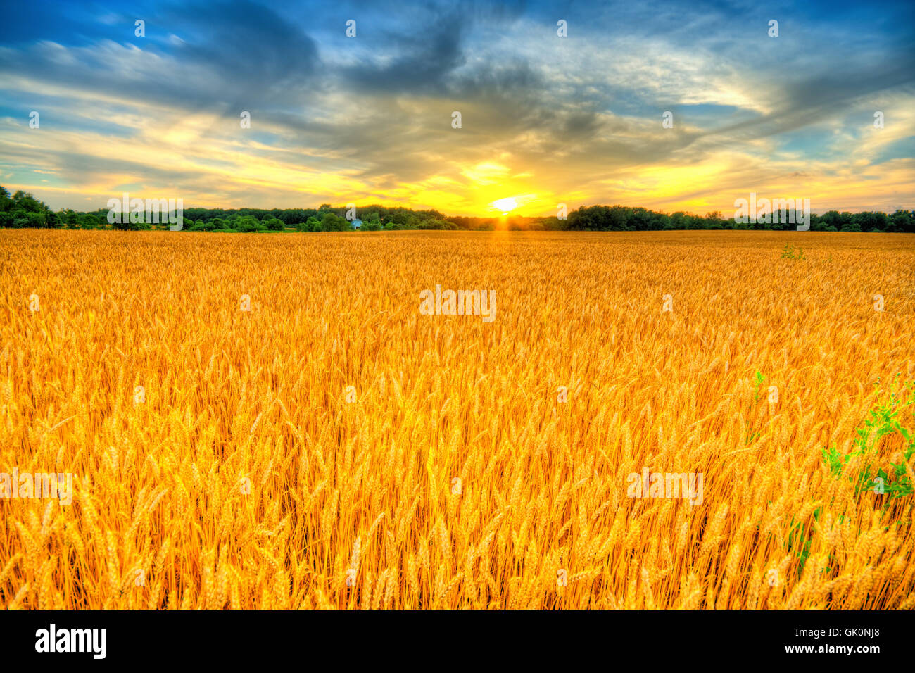 sunset agriculture farming Stock Photo - Alamy
