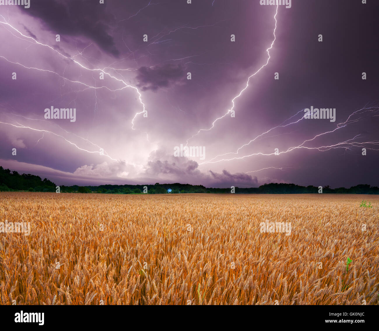 field dramatic lightning Stock Photo - Alamy