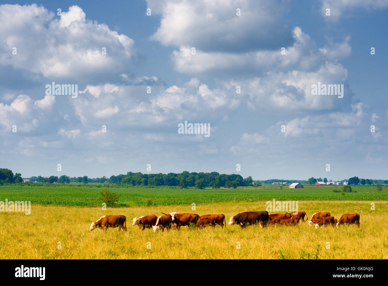 agriculture farming field Stock Photo - Alamy