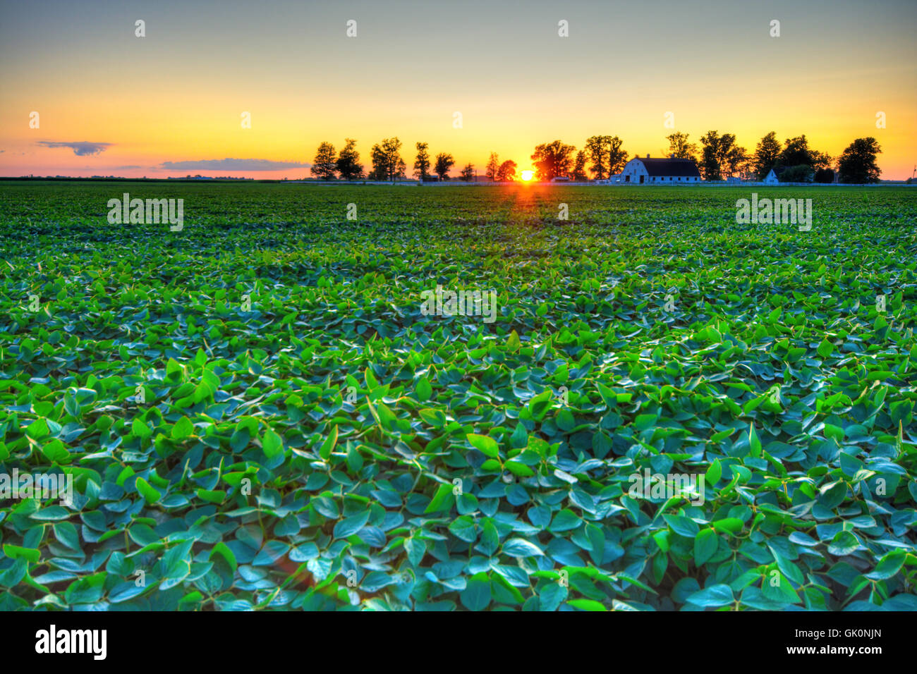 sunset agriculture farming Stock Photo - Alamy