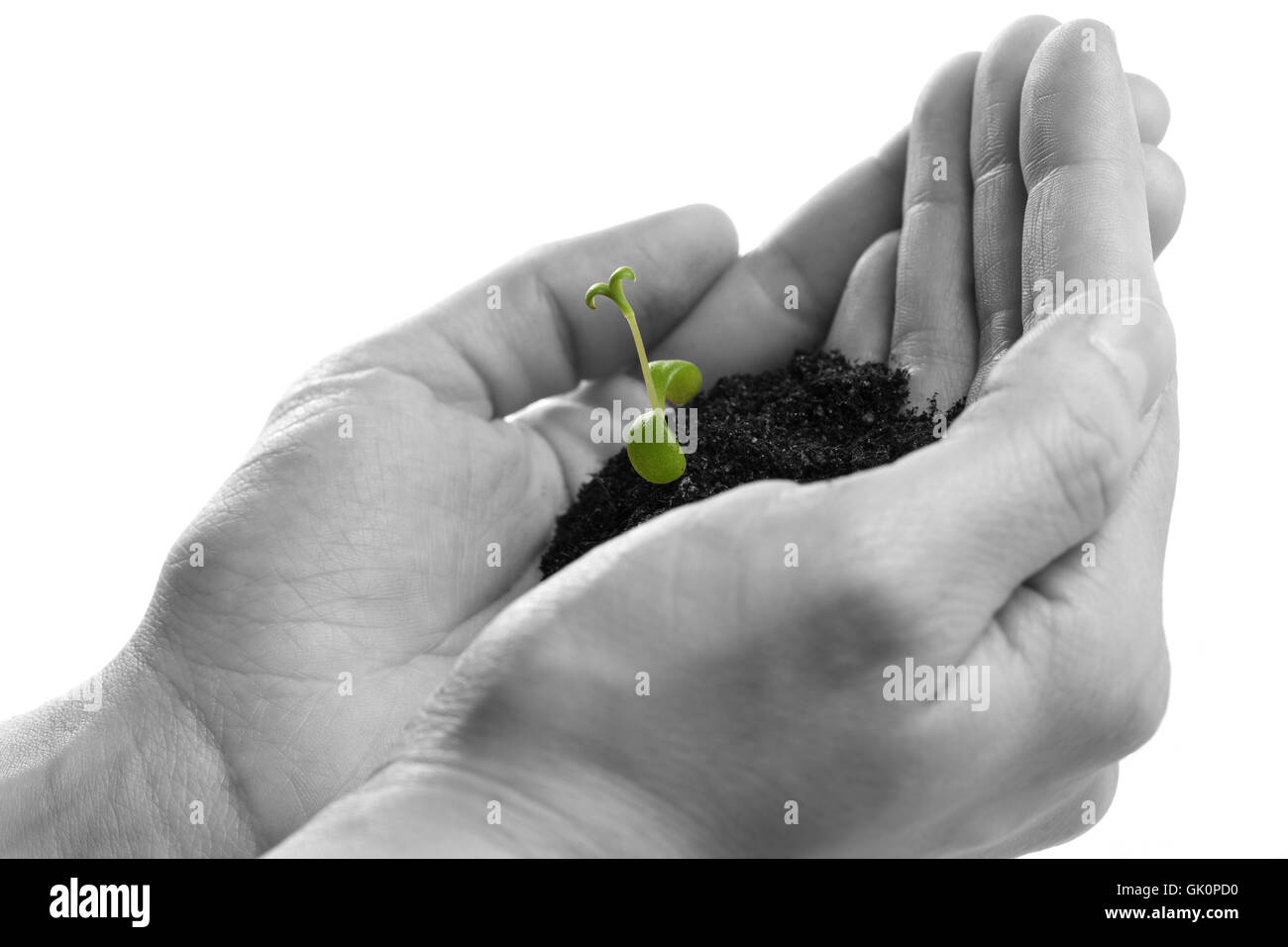 hand protect protection Stock Photo - Alamy