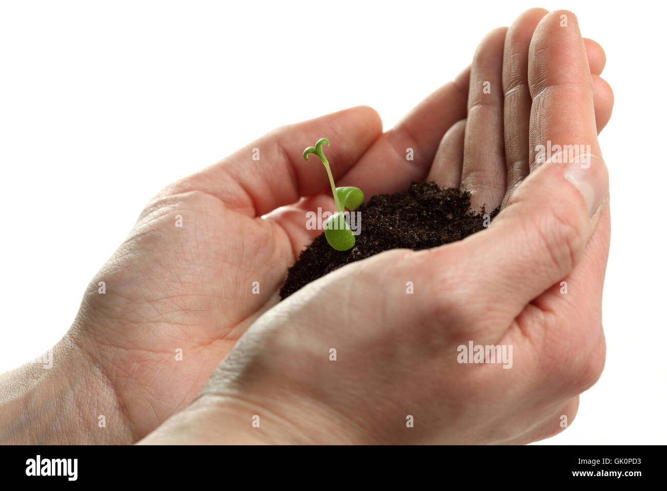 hand protect protection Stock Photo - Alamy