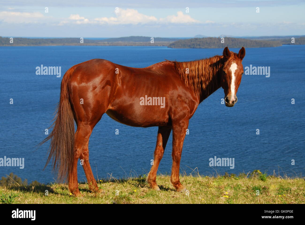 Freedom ride australia hi-res stock photography and images - Alamy