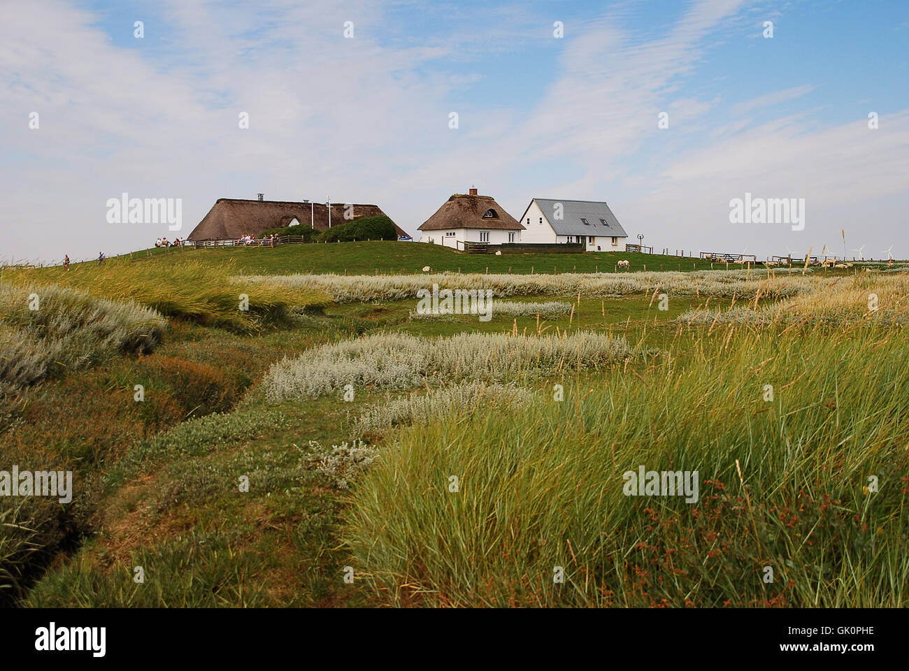 Hallig hi-res stock photography and images - Alamy