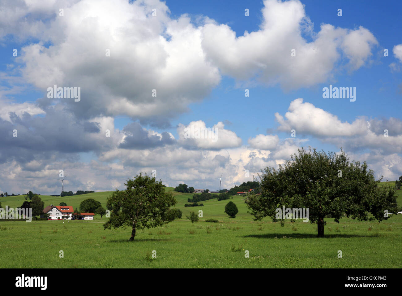 Tree trees hi-res stock photography and images - Alamy