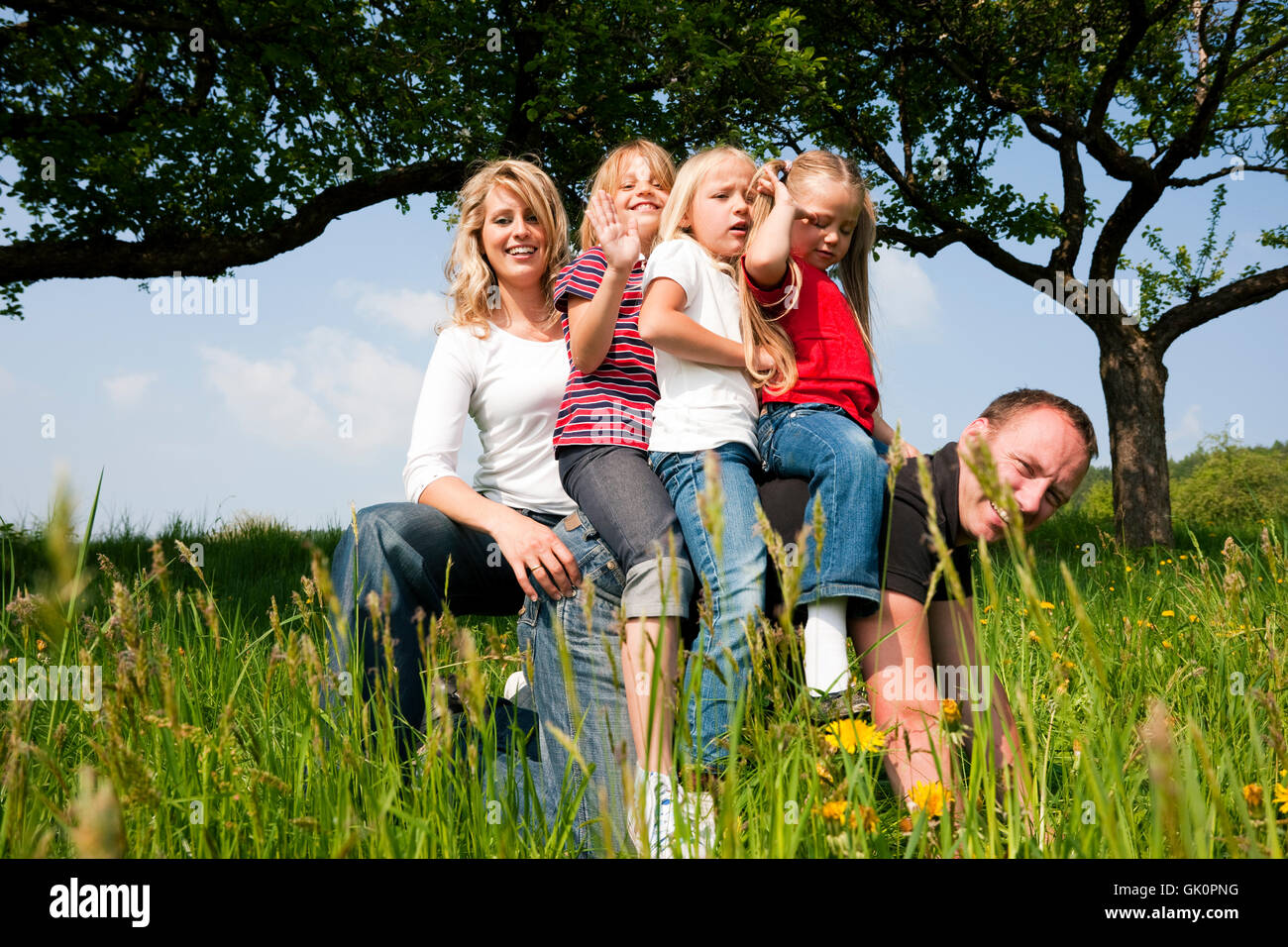 woman tree trees Stock Photo - Alamy