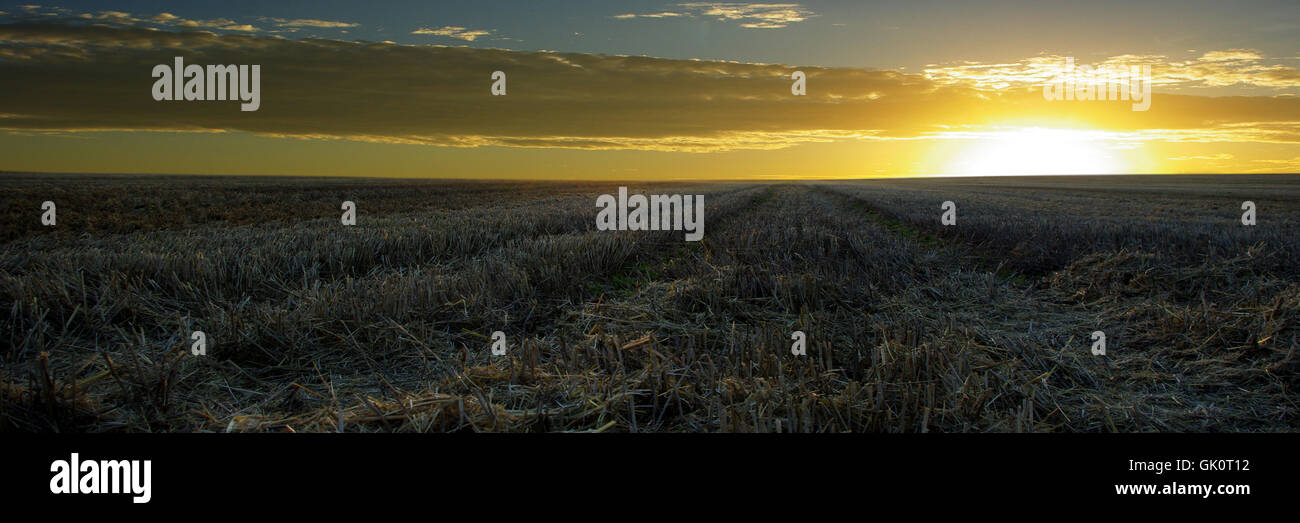 sunset sunrise spring Stock Photo - Alamy