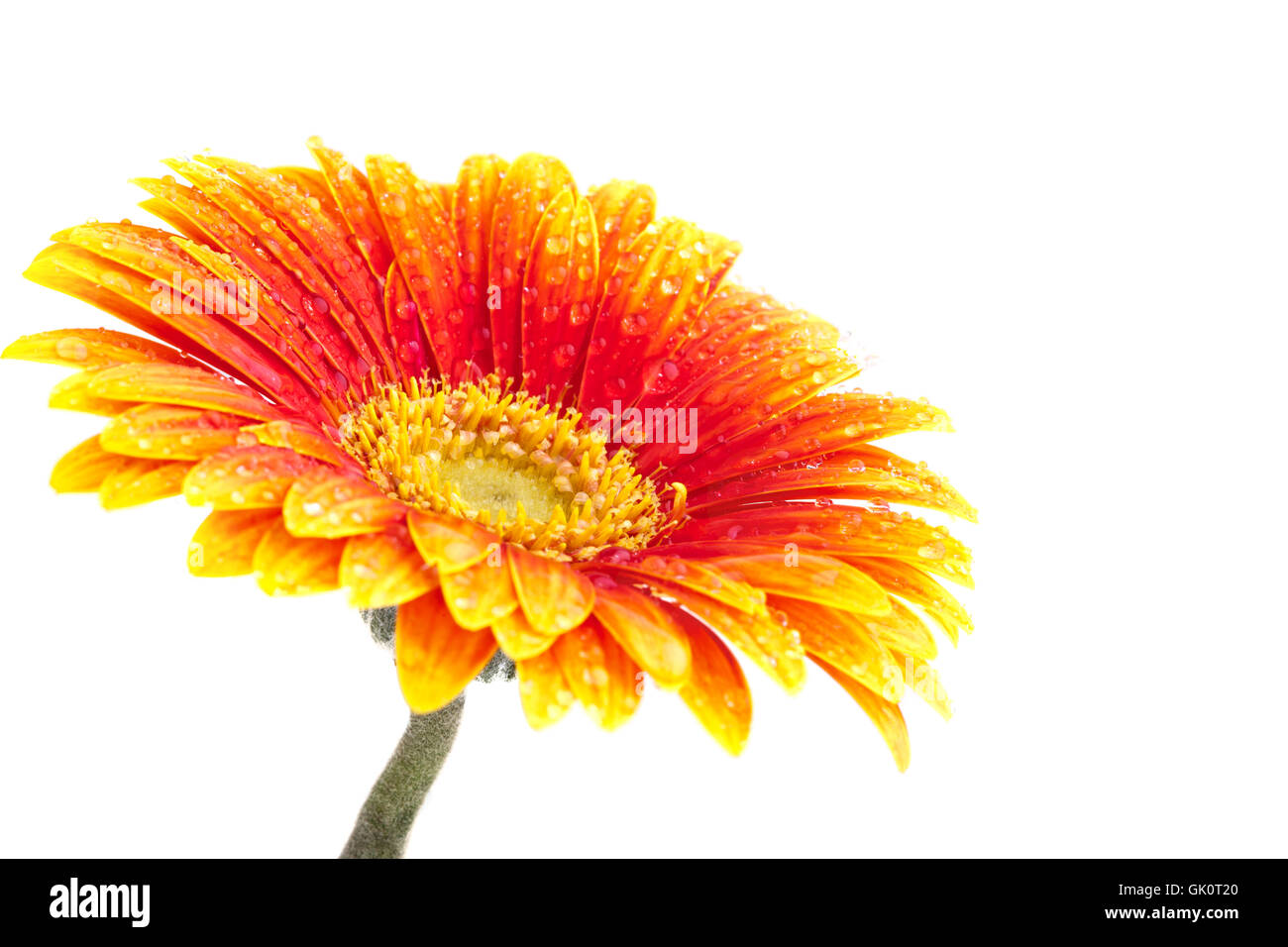 Admission postcard hi-res stock photography and images - Alamy