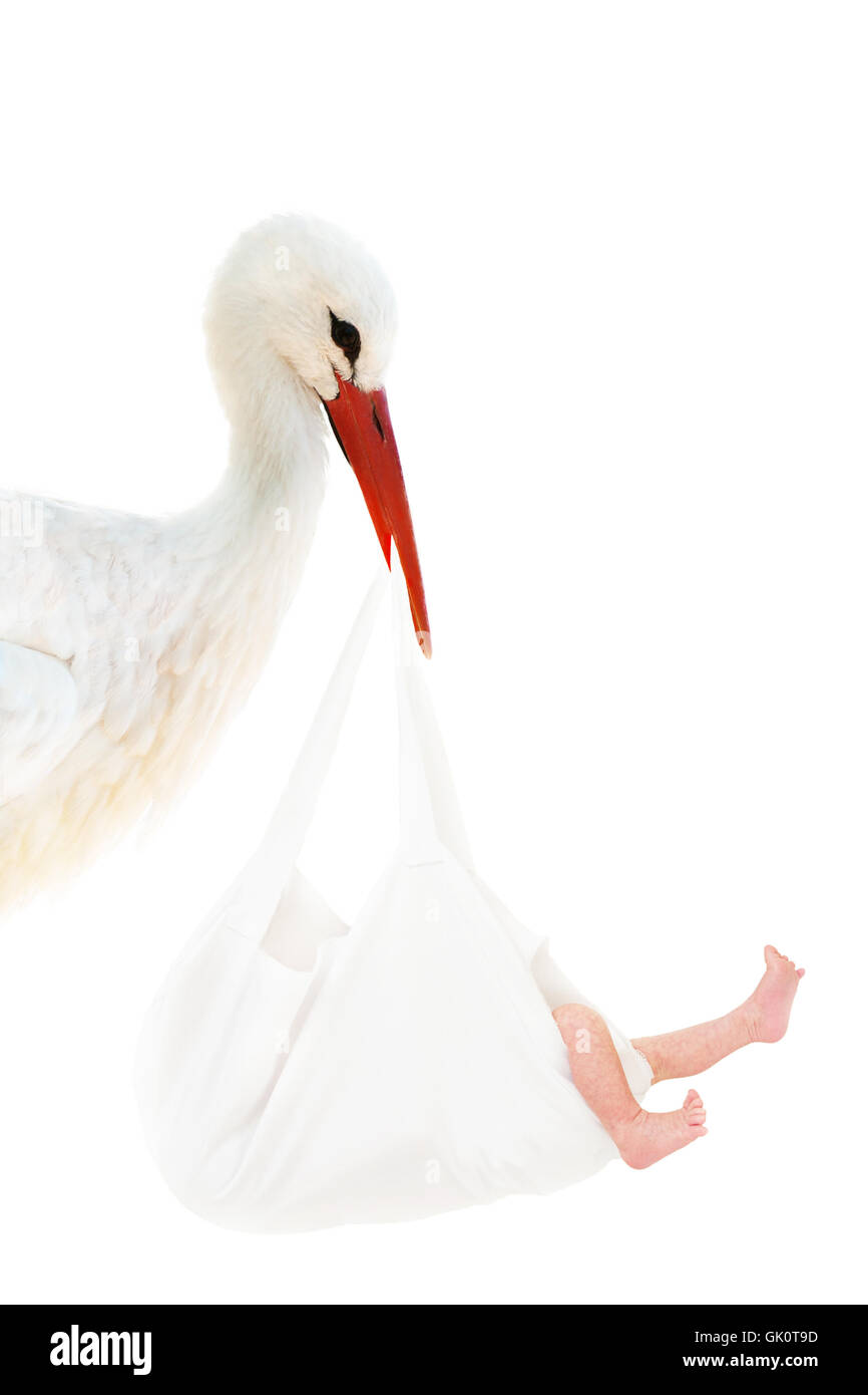 Stork with baby hi-res stock photography and images - Alamy