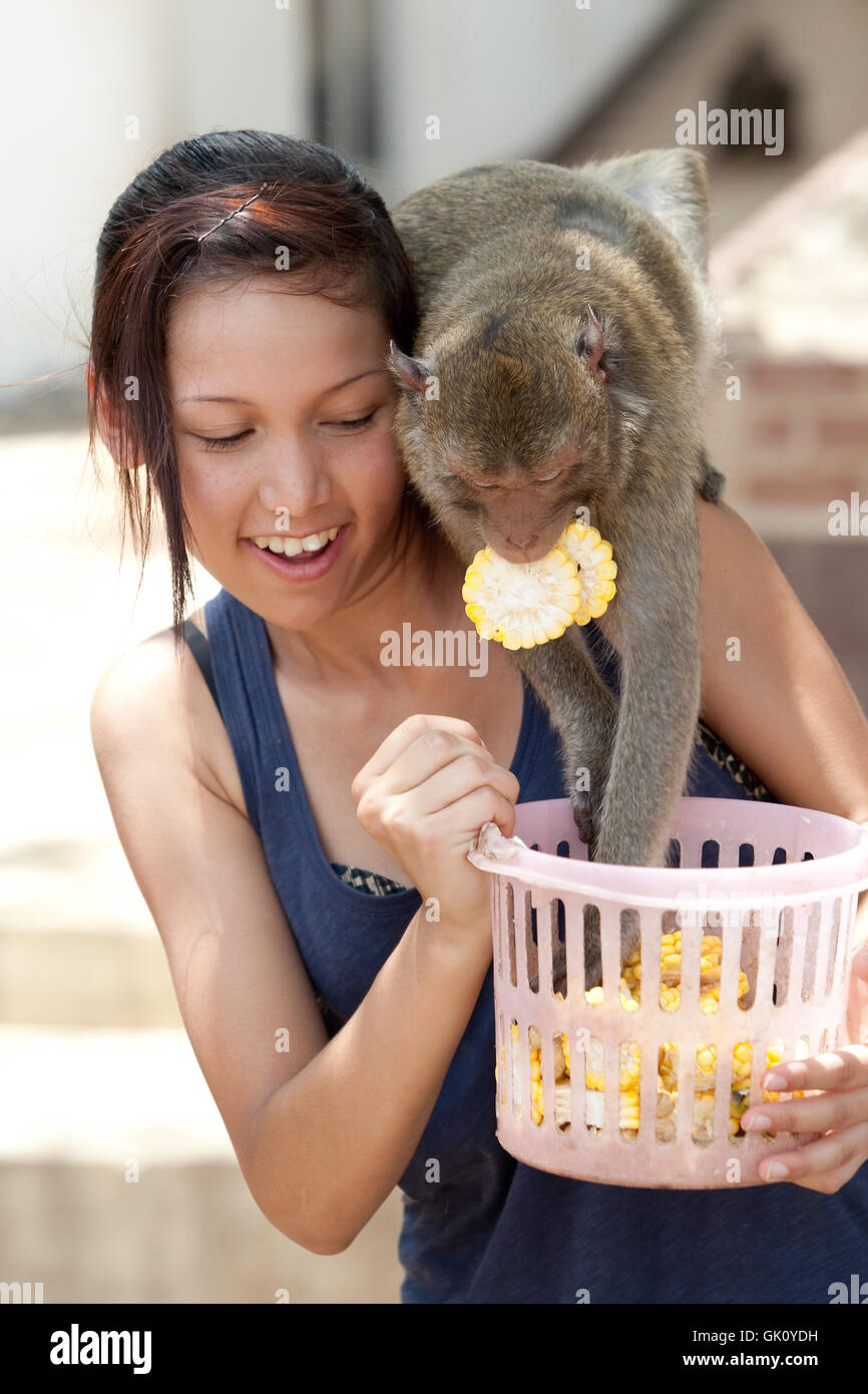animal monkey teenager Stock Photo - Alamy