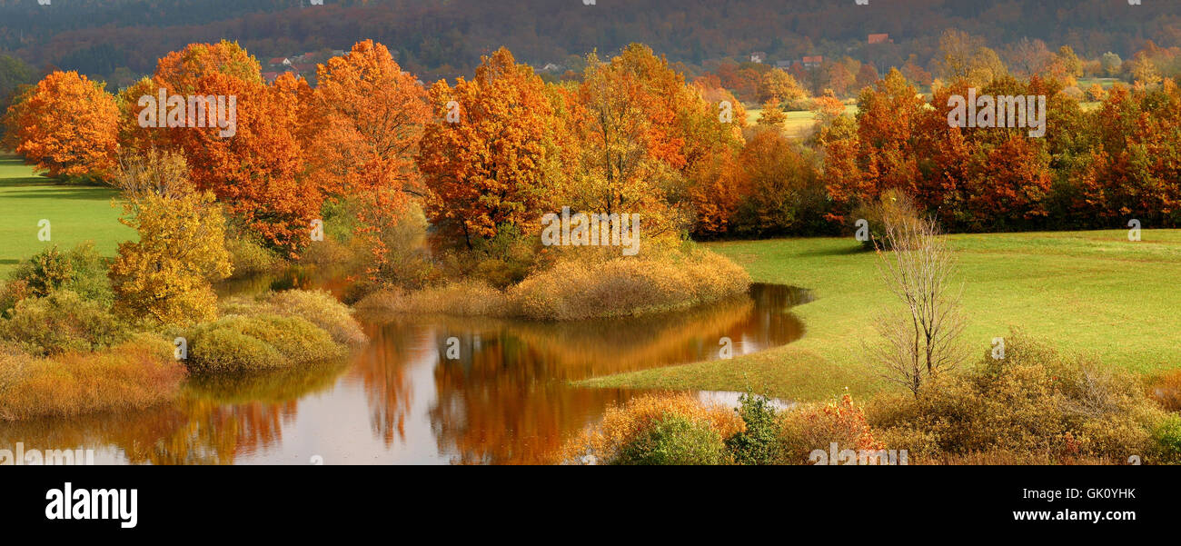 tree sight view Stock Photo - Alamy