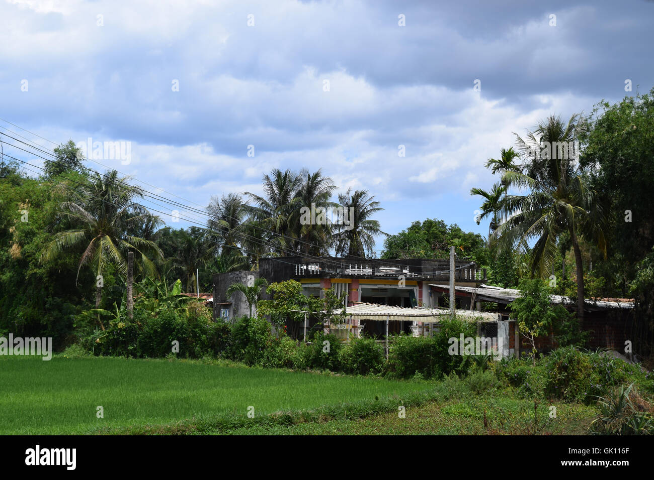 paddy field and traditional brick houses in rural village in Vietnam ...
