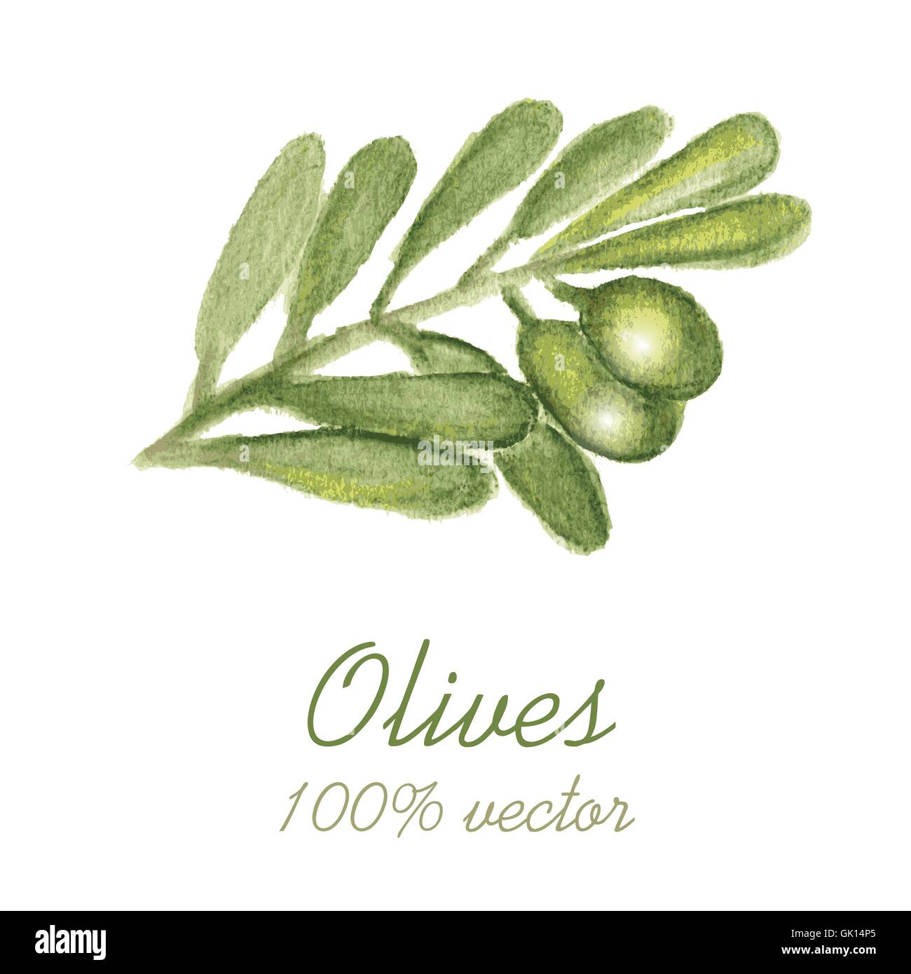 Olive green menu card Stock Vector Images - Alamy