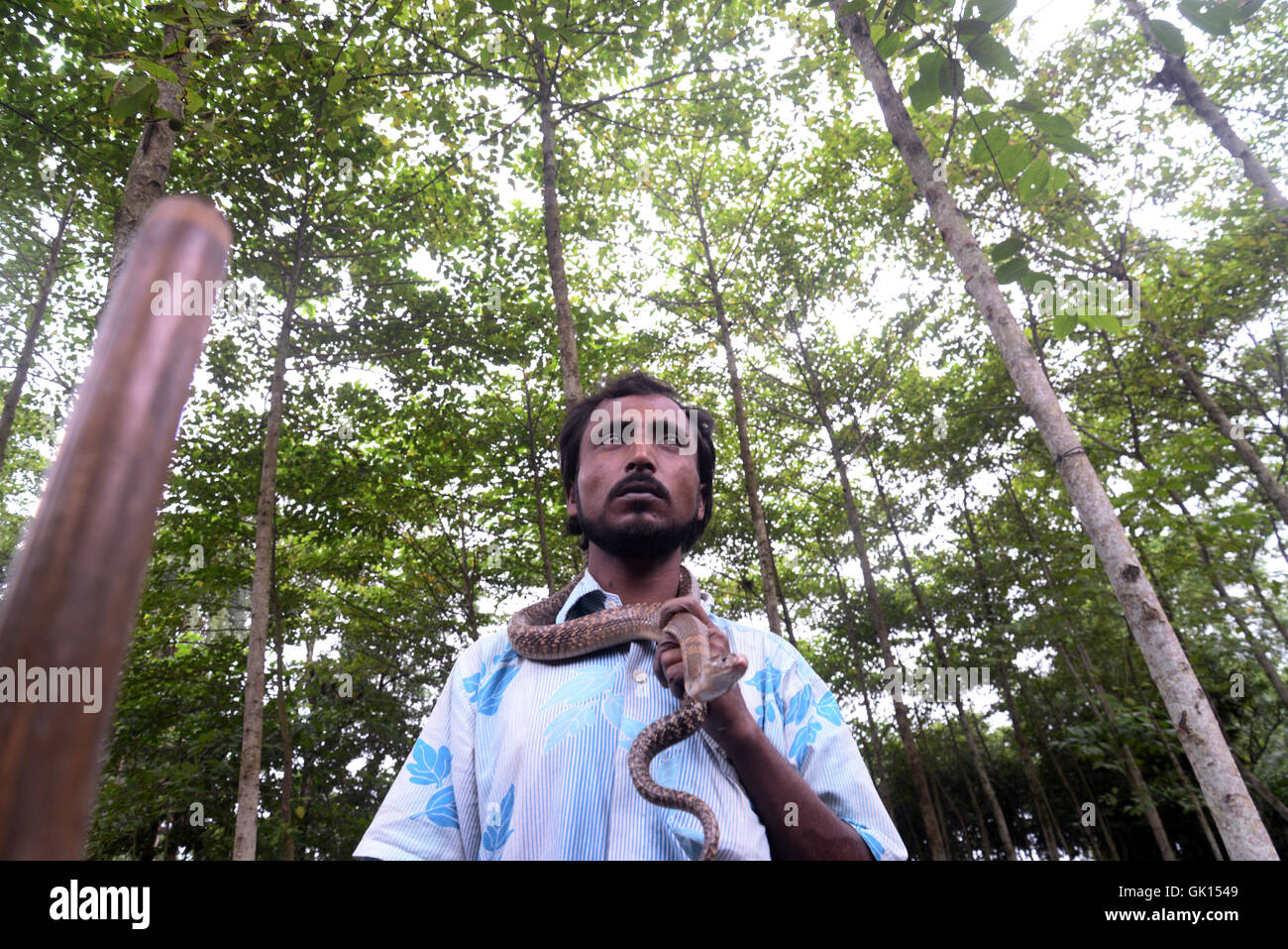 Kolkata, India. 17th Aug, 2016. Thousand of Devotees and snake charmer ...