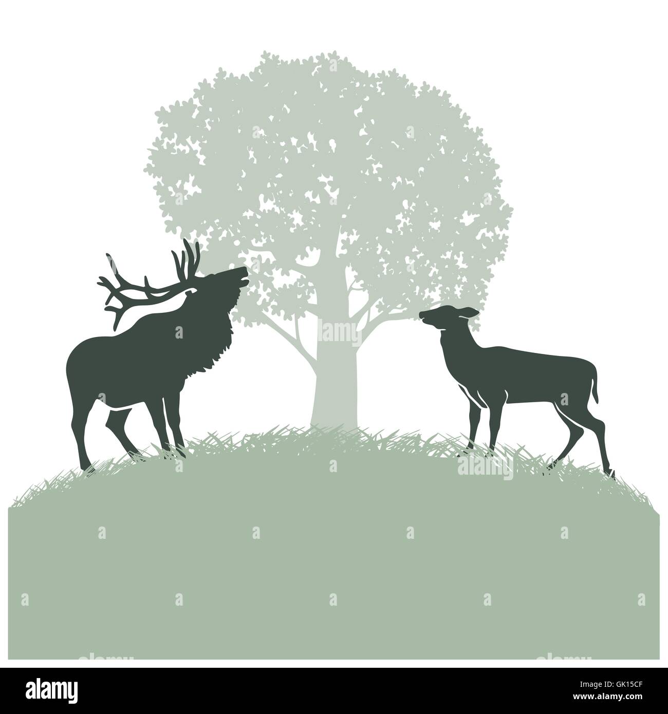 Deer in the rut Stock Vector Image & Art - Alamy