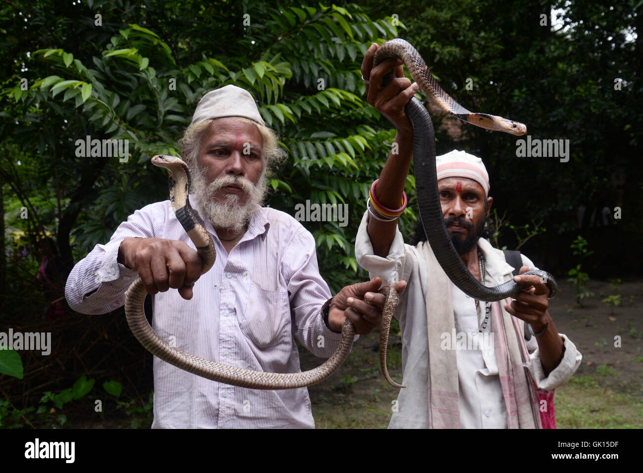 Kolkata, India. 17th Aug, 2016. Thousand of Devotees and snake charmer ...