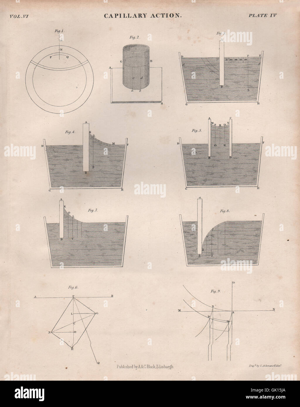 Capillary action hi-res stock photography and images - Alamy