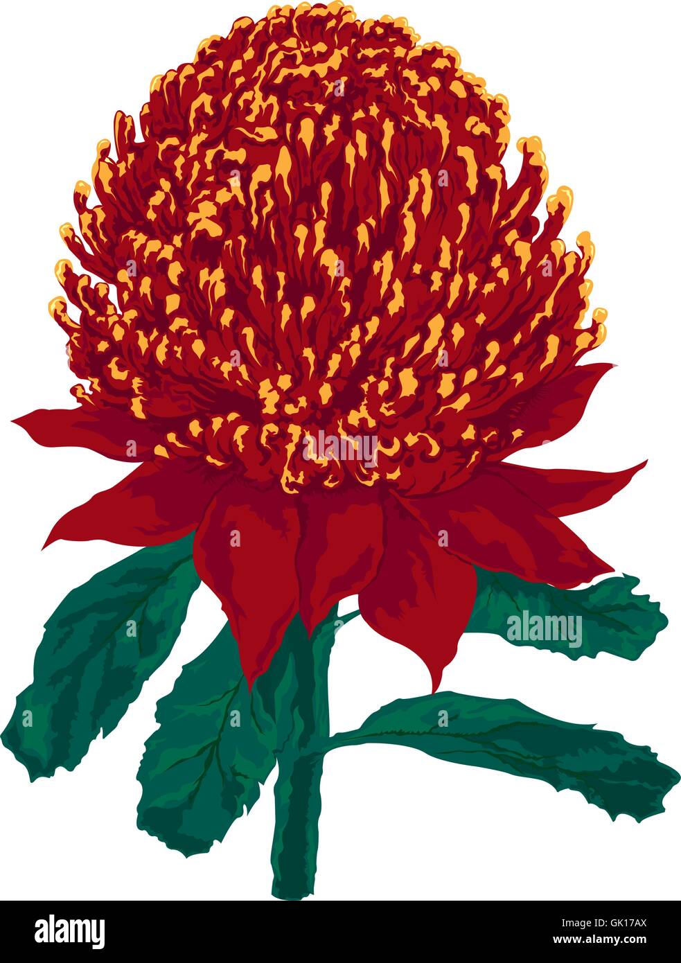 Blossom emblem Stock Vector Images - Alamy