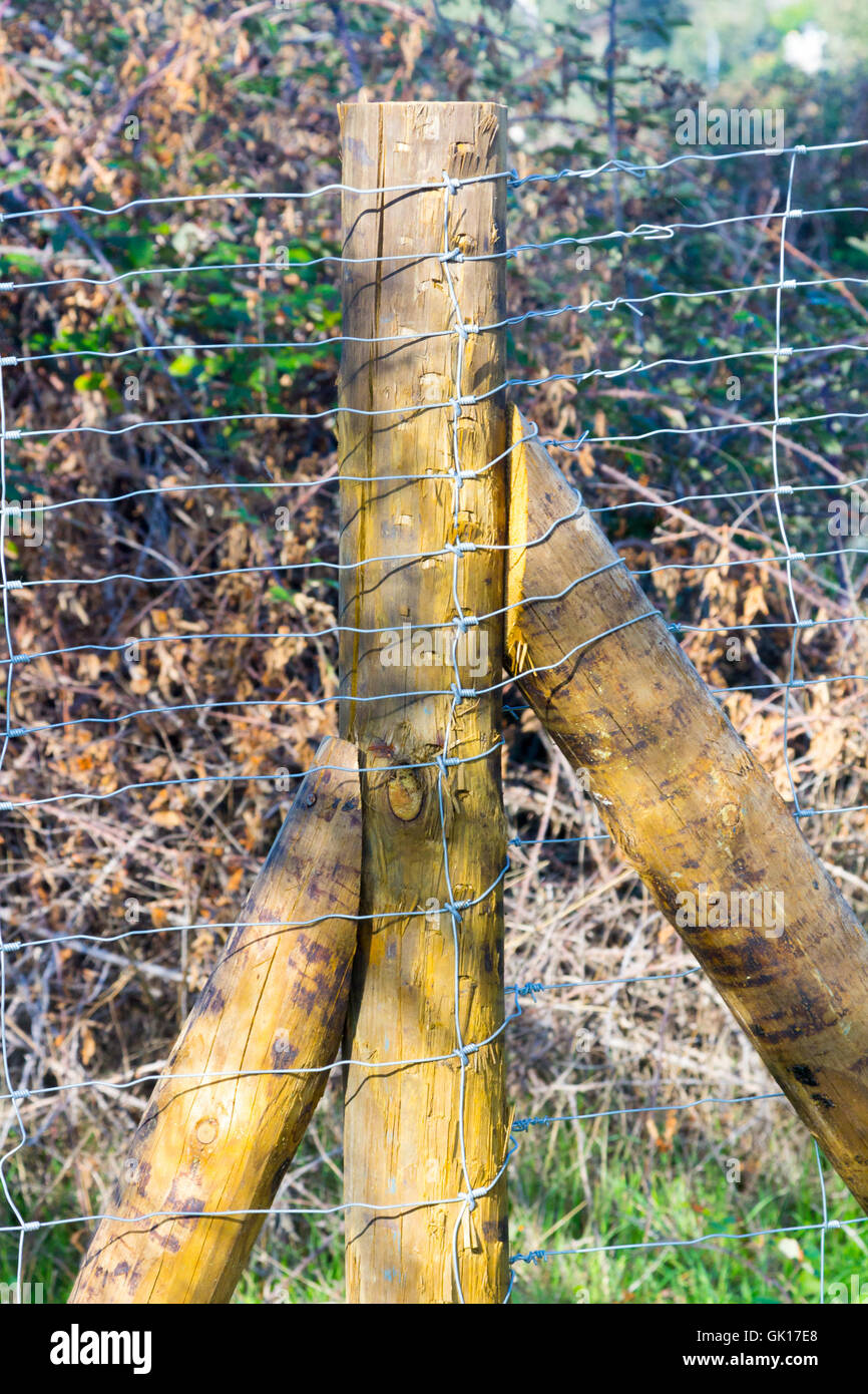 Wooden wire mesh hi-res stock photography and images - Alamy