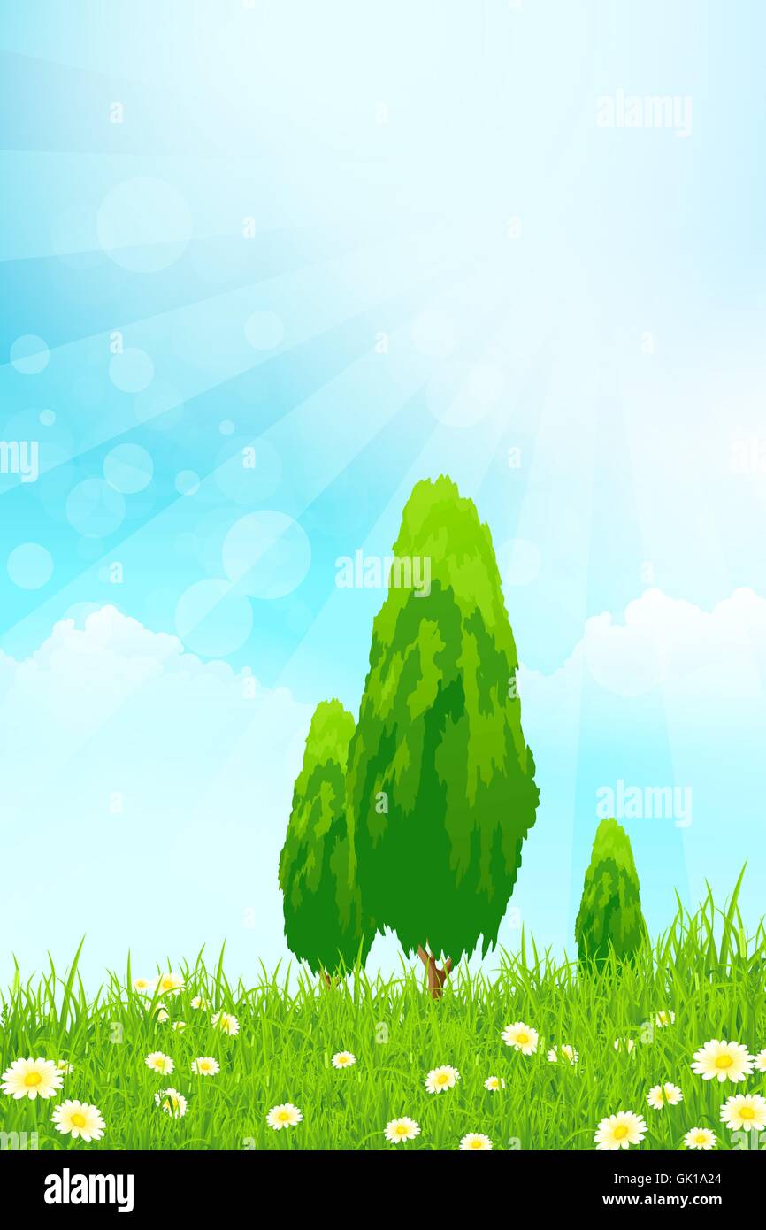Fresh green field autumn Stock Vector Images - Alamy