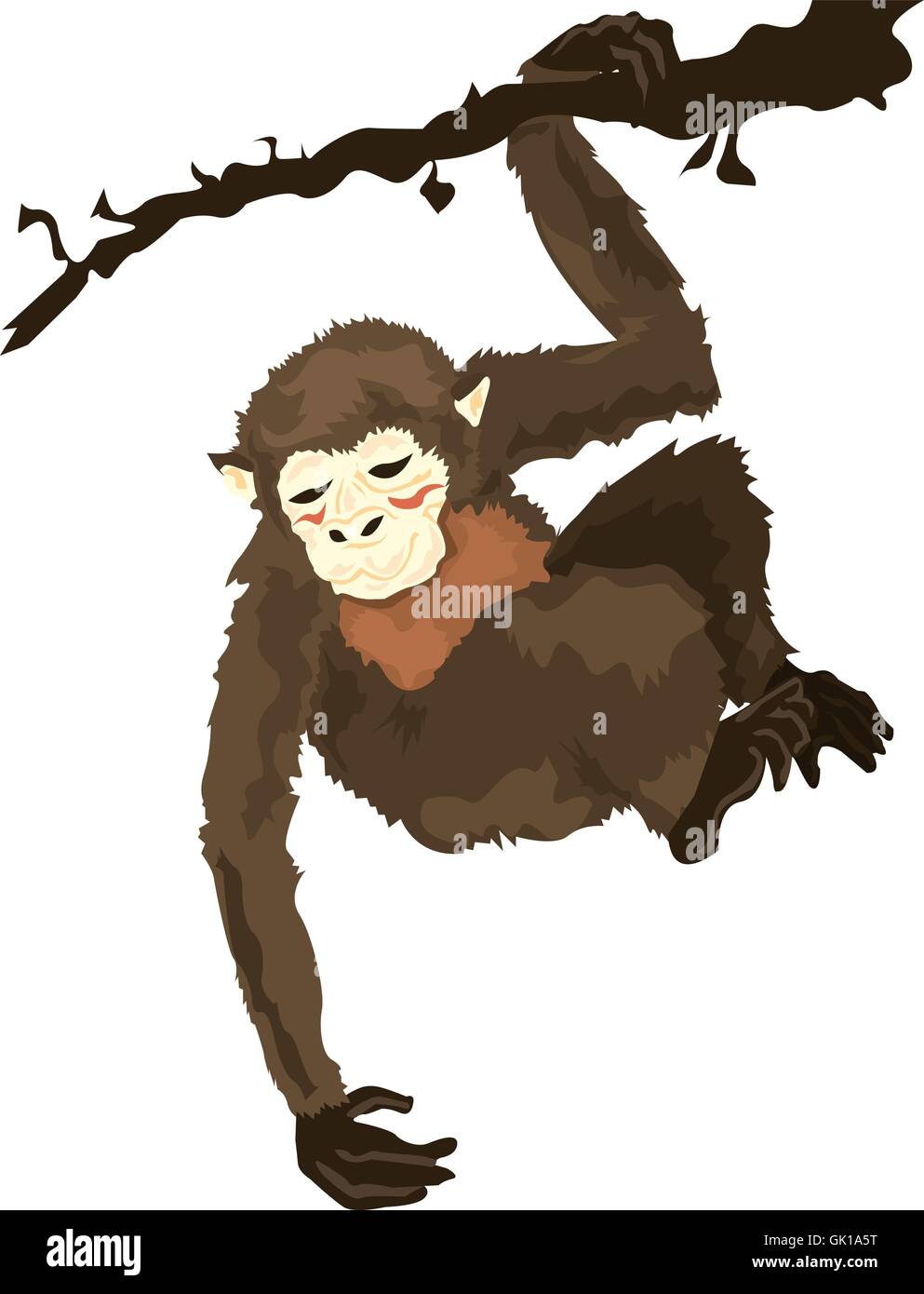 Monkey furious Stock Vector Images - Alamy