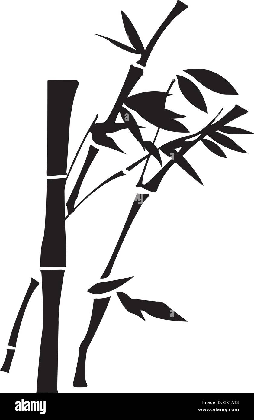 Tropical bamboo Stock Vector Images - Alamy