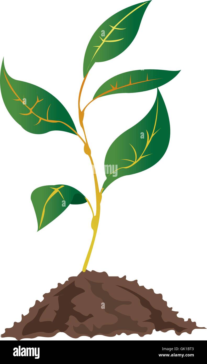 Environment Icon 5 Stock Vector Image & Art - Alamy